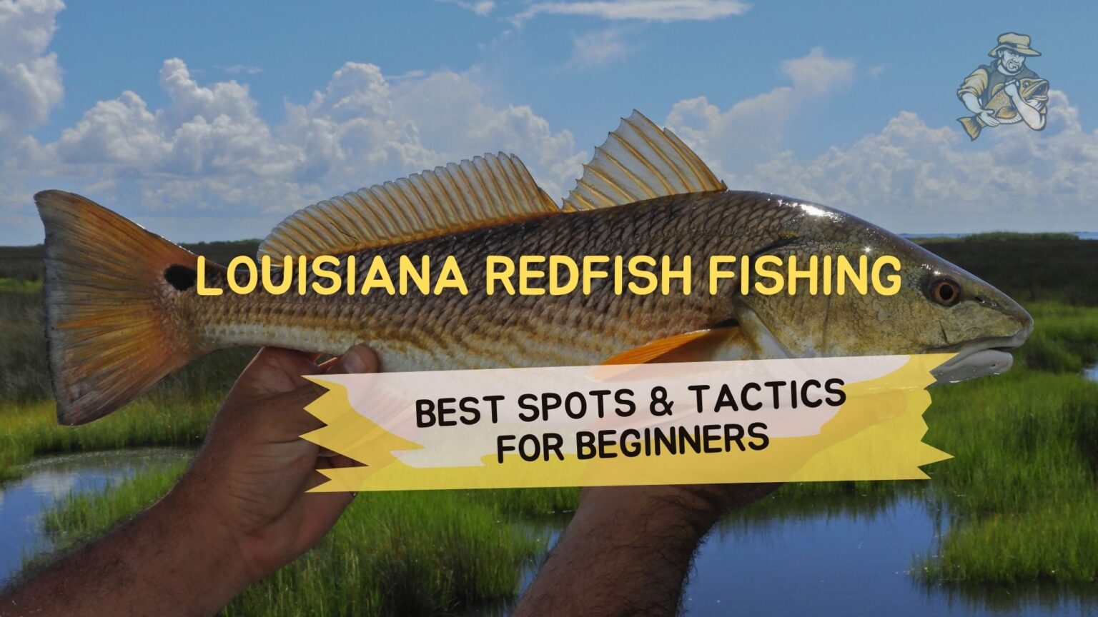 Fishing Tips for Beginners: An Expert Guide to Your First Successful ...
