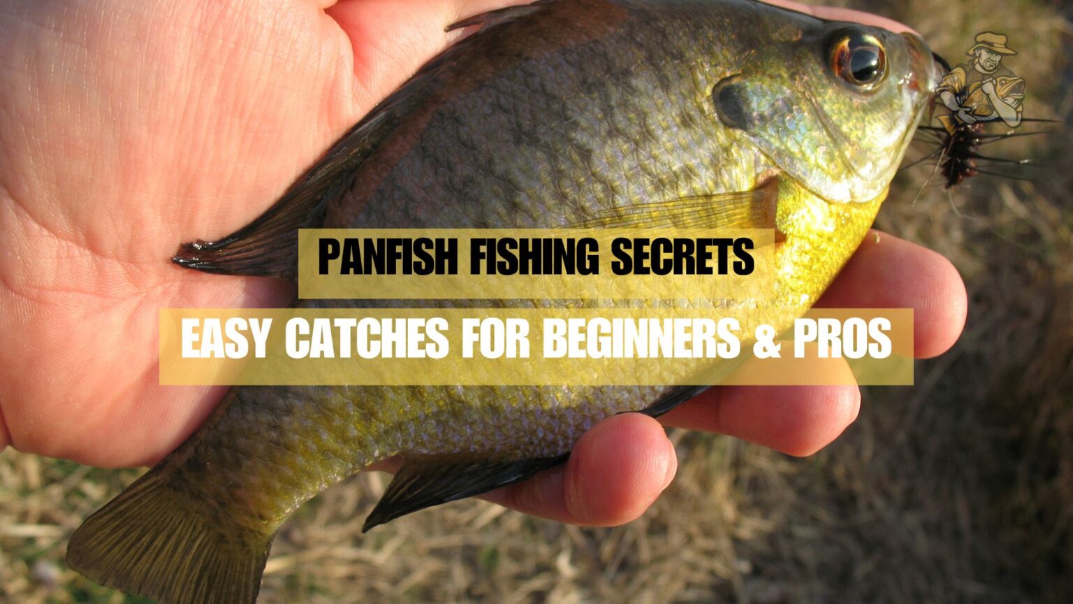 15 Panfish Fishing Secrets: Easy Catches for Beginners & Pros