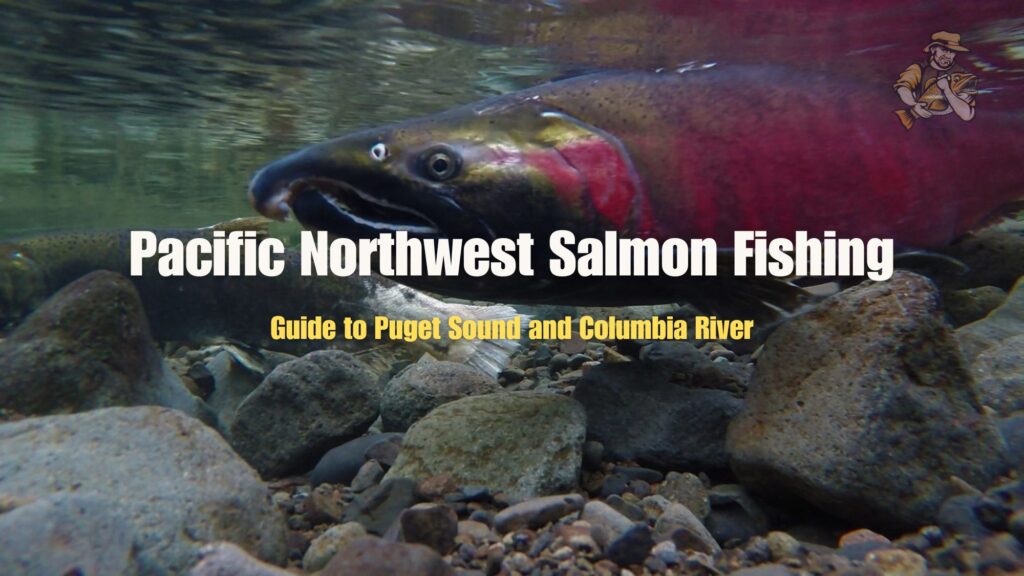 Pacific Northwest Salmon Fishing: Guide to Puget Sound and Columbia ...